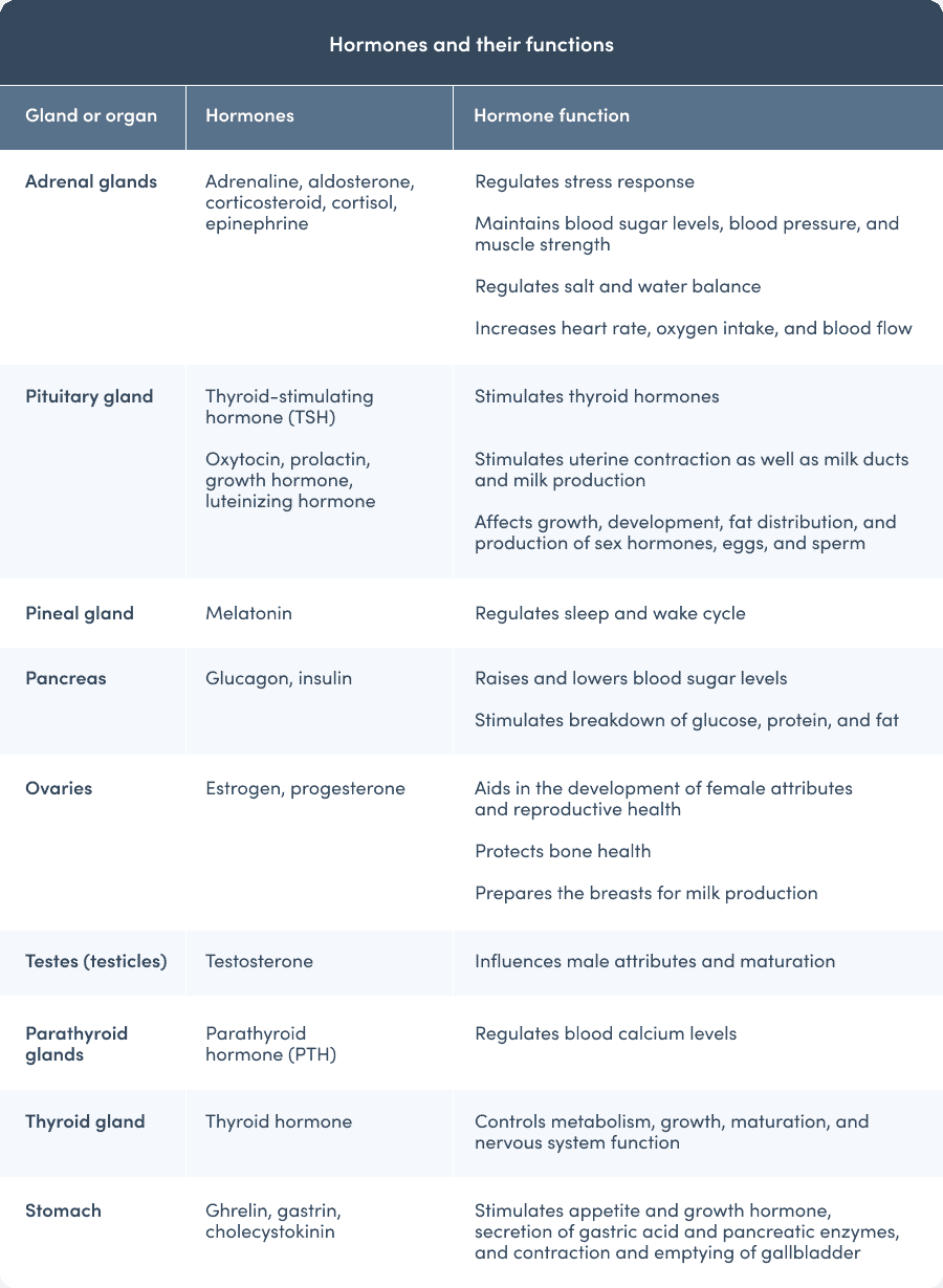 Hormones 101 What Are Hormones Fullscript Hormones 101 What Are Hormones Fullscript